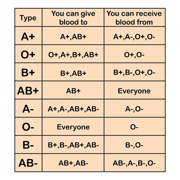 Blood donation: History, Benefits, and Myths – WellaHealth