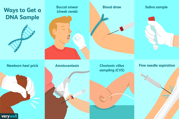 Decoding the human code: DNA testing - WellaHealth