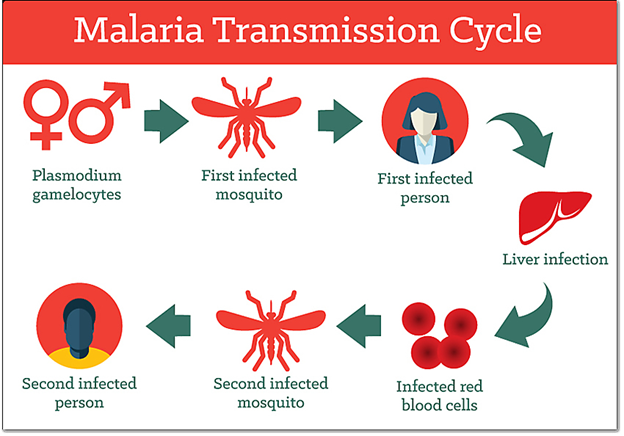 Eradicating Malaria in Our Lifetime – WellaHealth