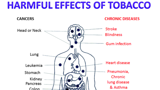 The Dangerous Effects of Tobacco - WellaHealth