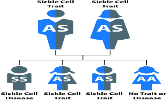 Understanding and Managing Sickle Cell Disease – WellaHealth