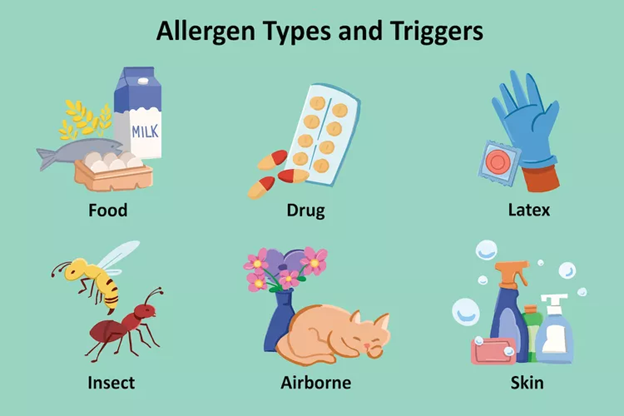 Allergies: Symptoms, Triggers, and Relief - WellaHealth